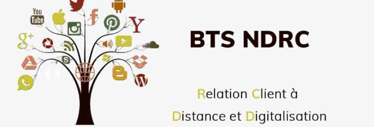 Pourquoi suivre une formation BTS NDRC